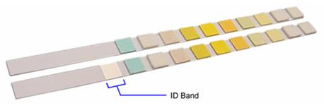 Innovative Urinalysis Test Strips with ID bands