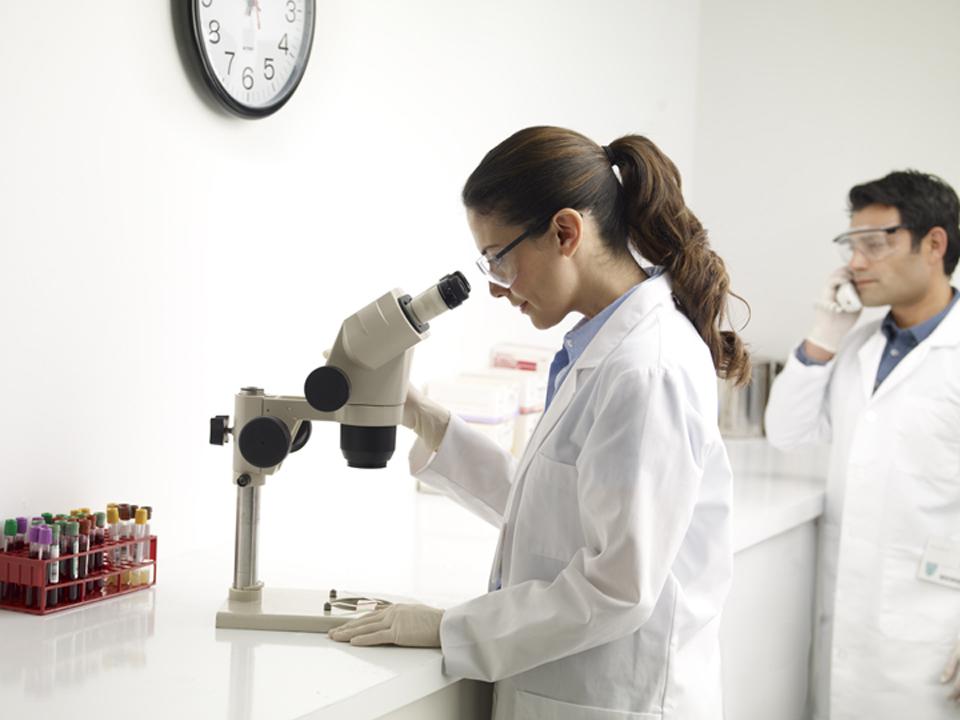 Organ Transplantation - ISDs