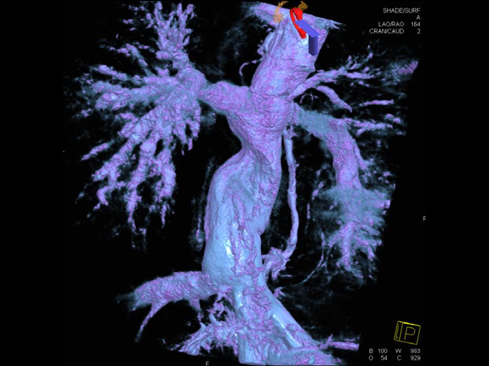 Clinical Specialty Educational Resources