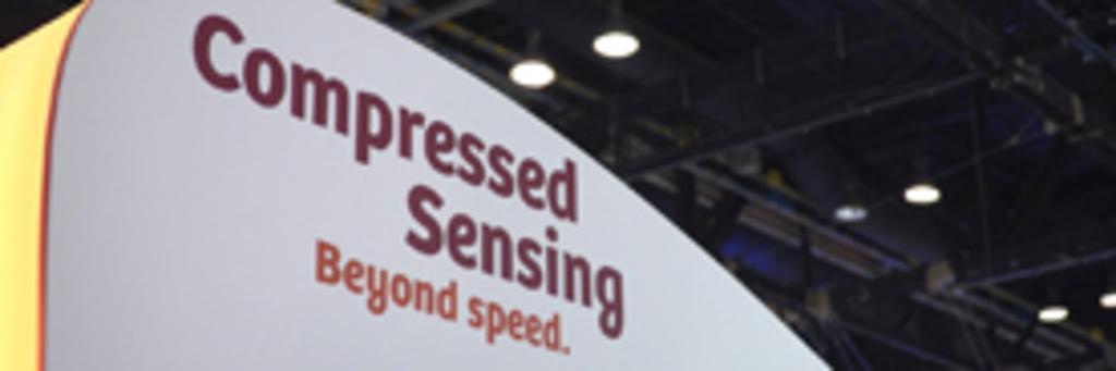 Compressed Sensing