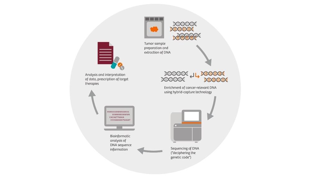 Comprehensive Molecular Profiling for Targeted Cancer Therapy Comprehensive Molecular Profiling for Targeted Cancer Therapy