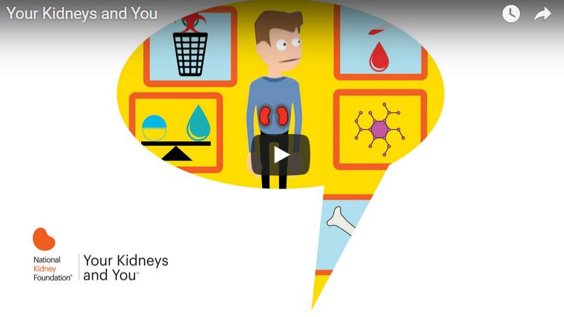 Albumin-to-Creatinine Ratio (ACR) Urine Testing