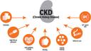 What Is Kidney Disease?