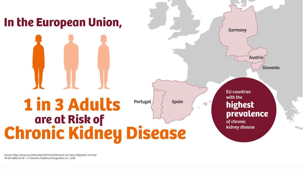 Chronic Kidney Disease: A Global Crisis