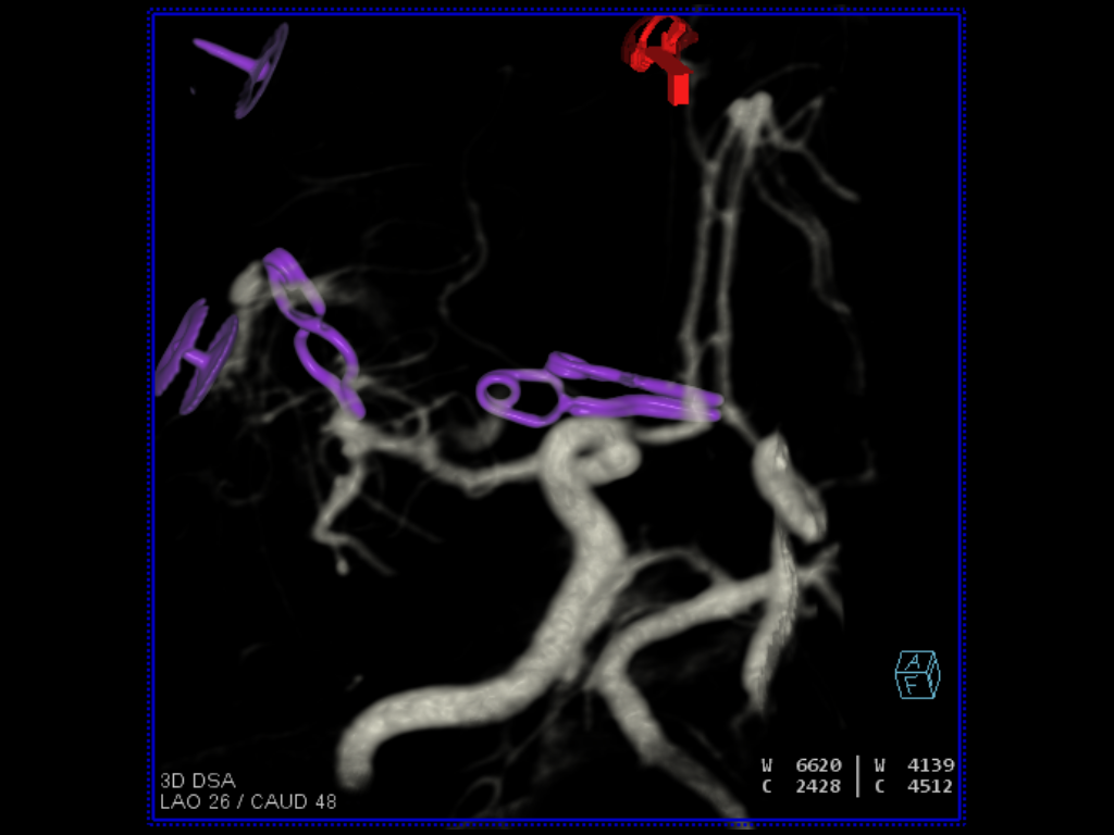 Clinical Specialty Educational Resources