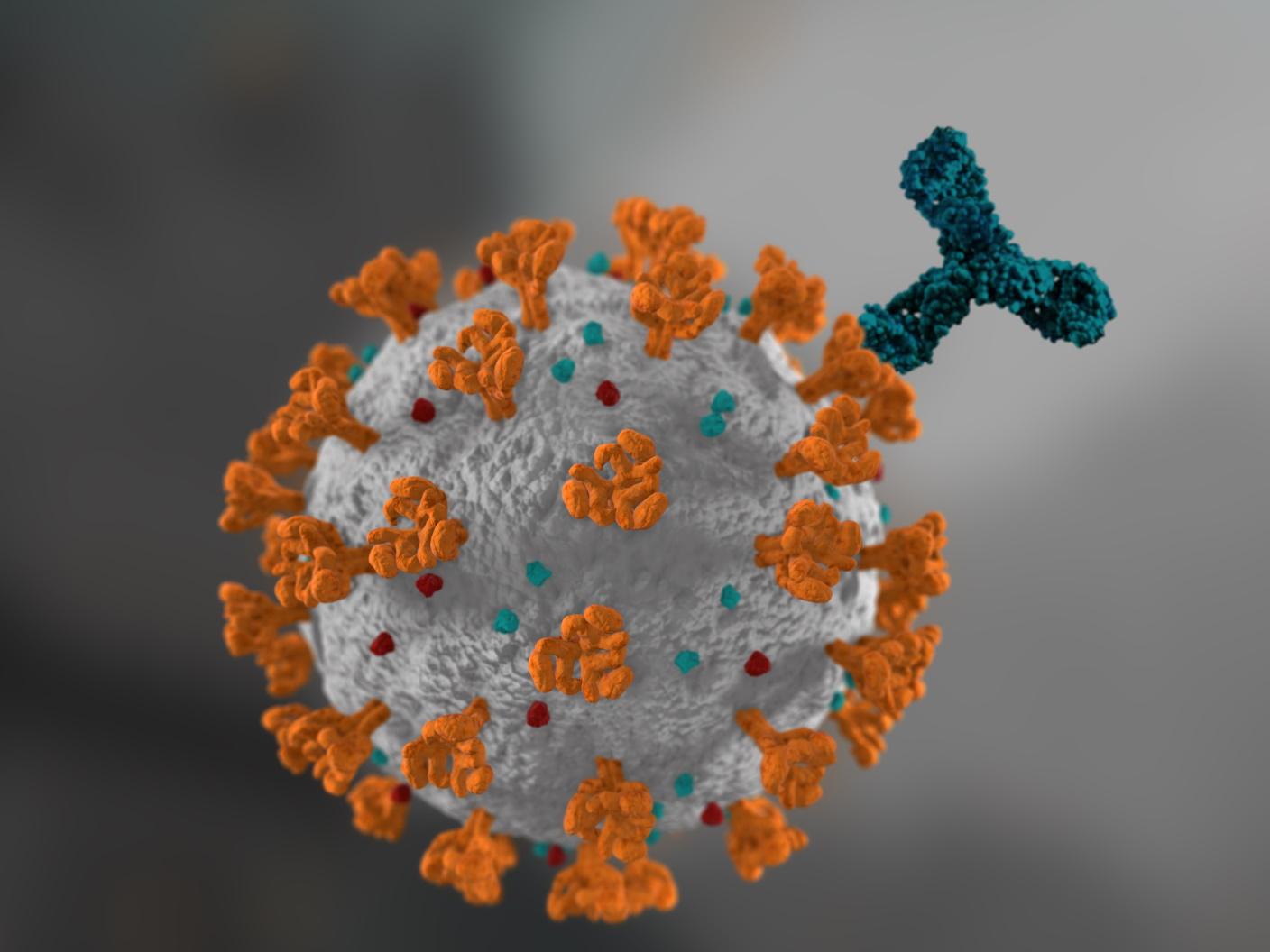 Dosaggio SARS-CoV-2 IgG