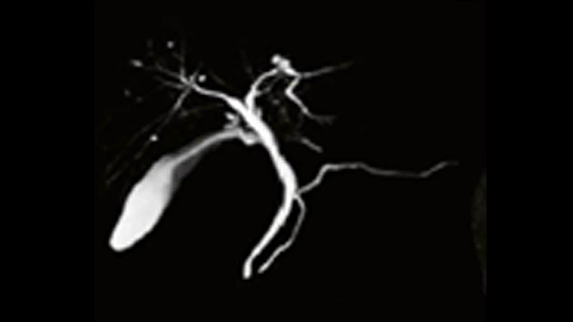 BioMatrix Technology