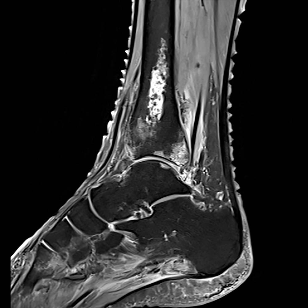 BioMatrix Technology