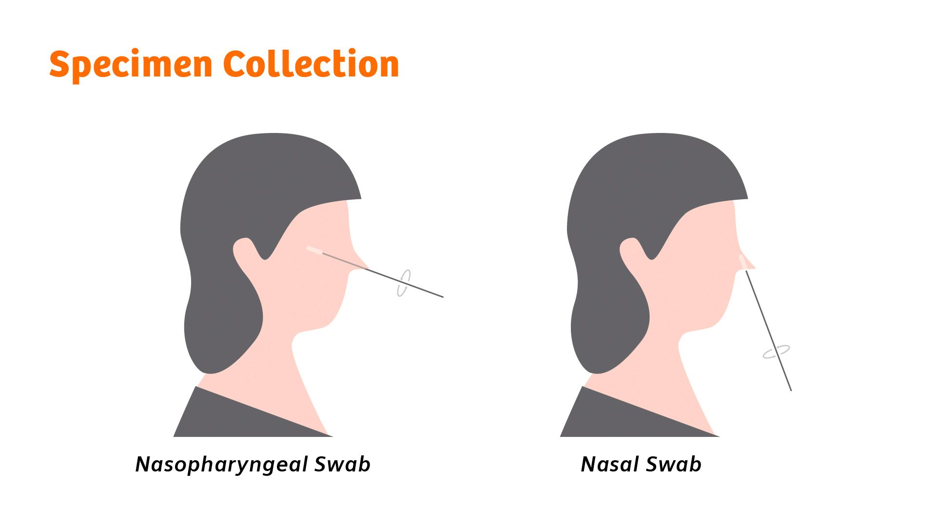 CLINITEST® Rapid COVID-19 Antigen Test