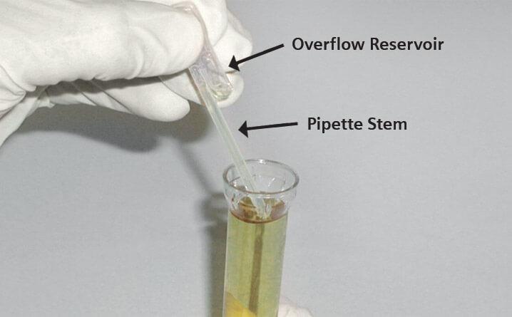 Proper Testing Technique for the CLINITEST hCG Pregnancy Test