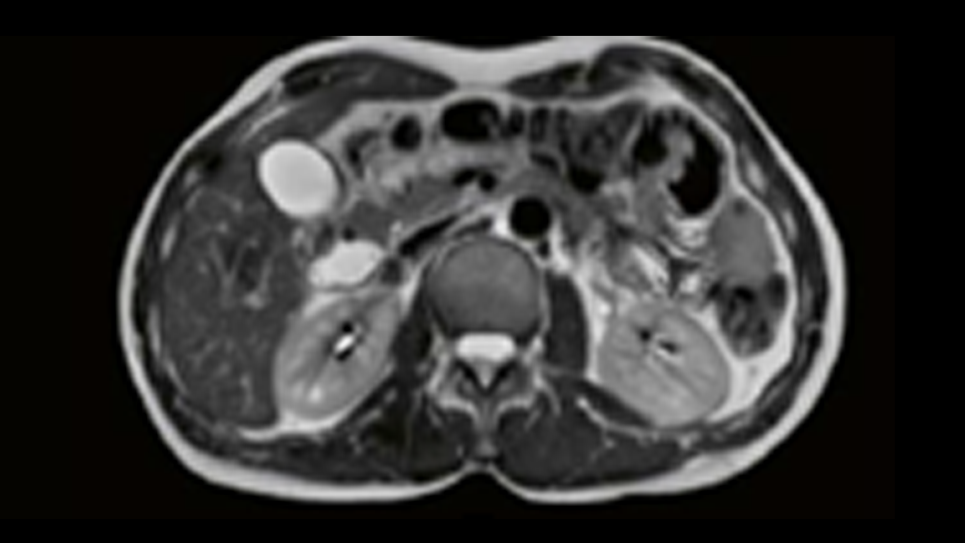 BioMatrix Technology