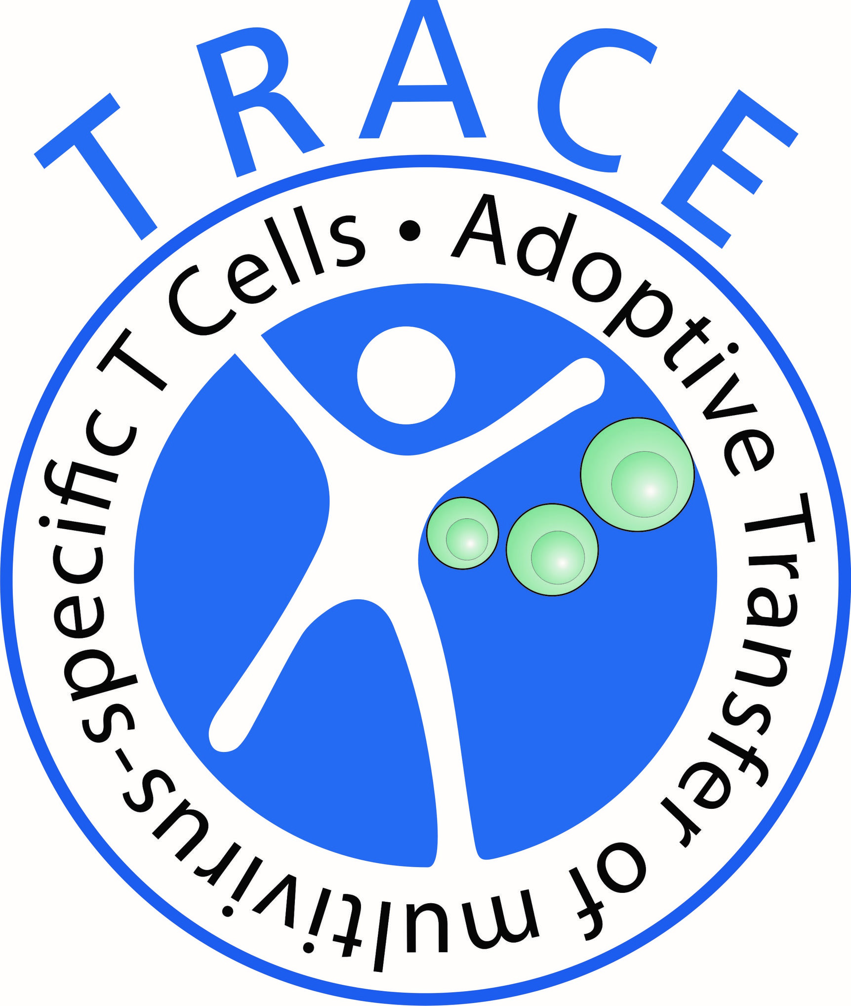 TRACE | News