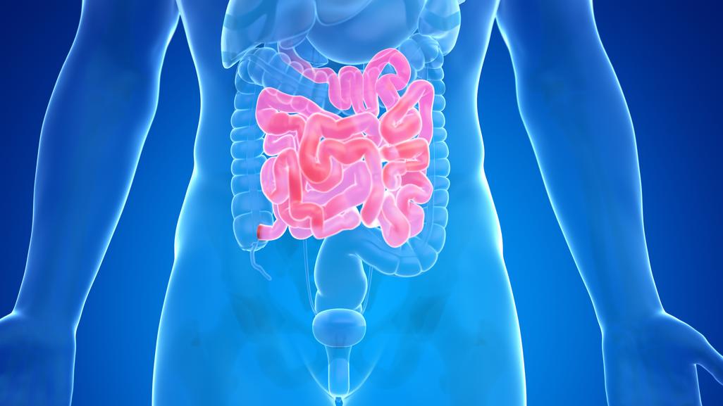 Organtransplantation | Transplantationszentrum München der LMU