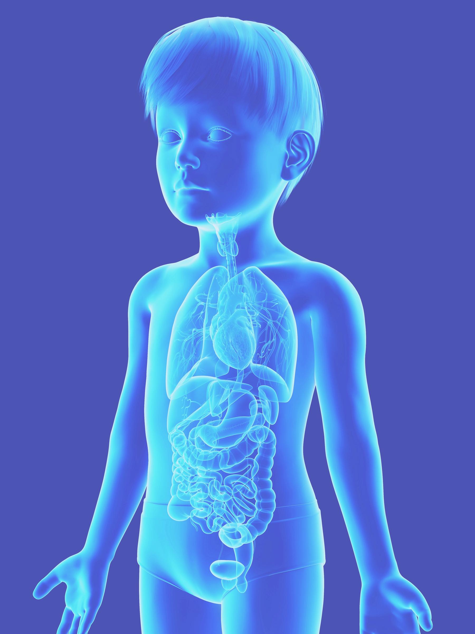 Organtransplantation | Transplantationszentrum München der LMU