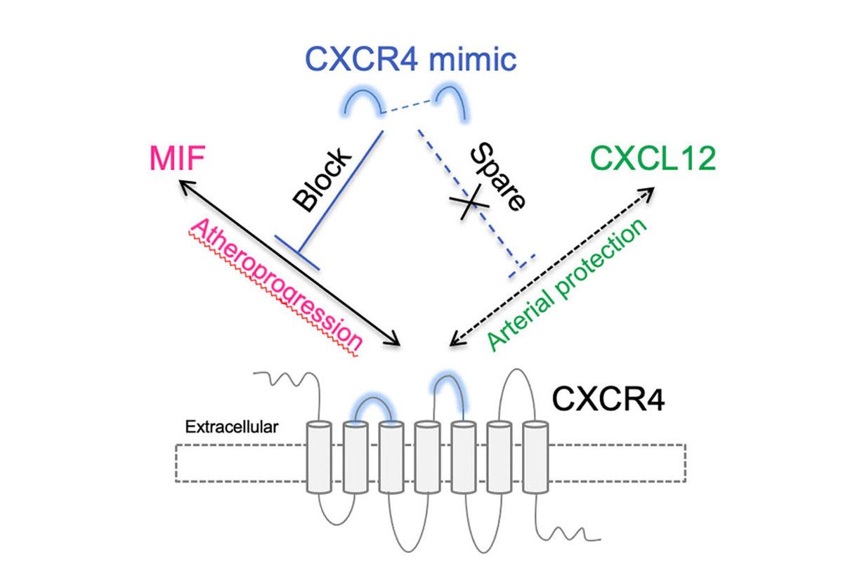 ISD Research | Publications