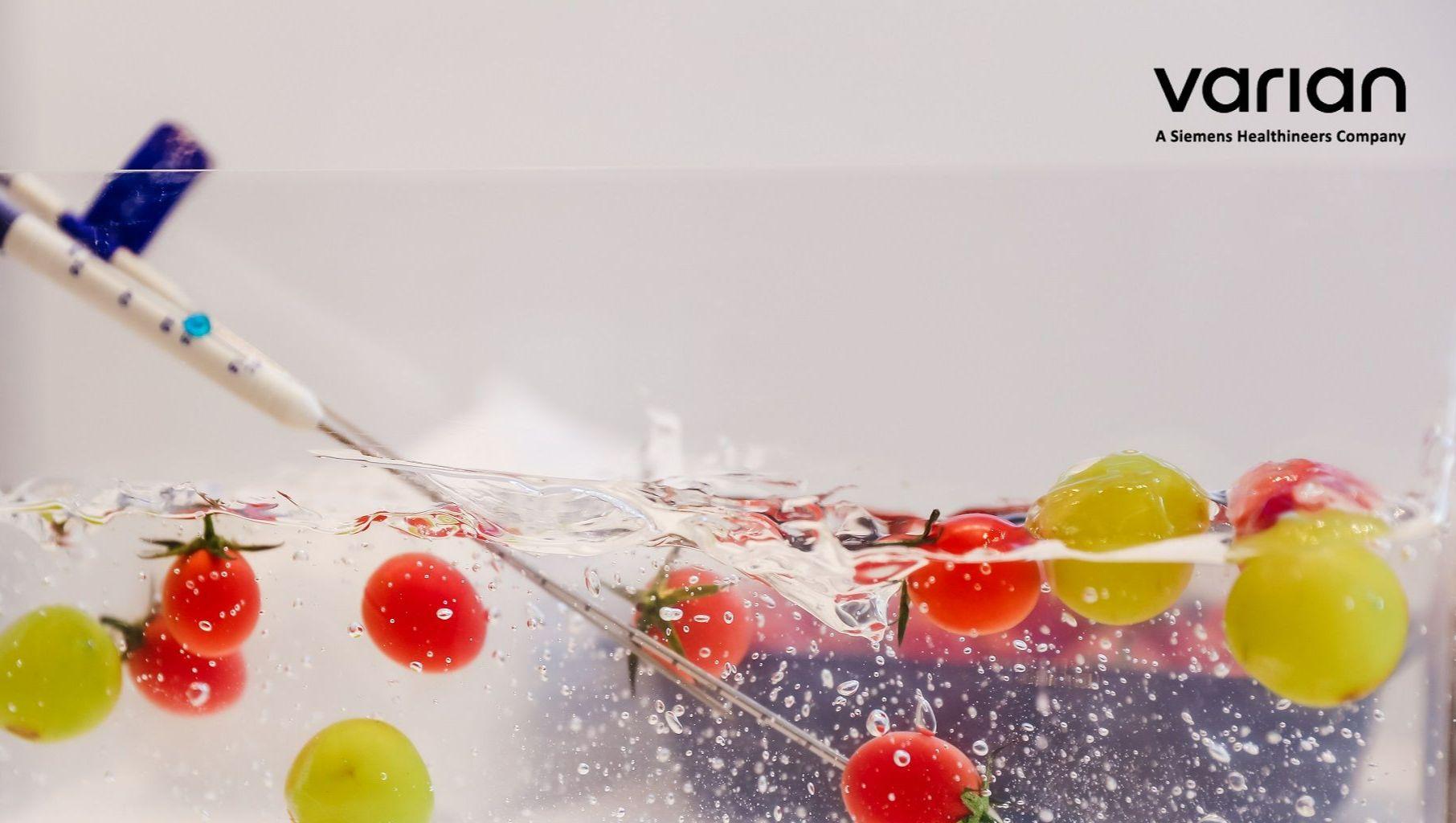 Learn what awaits you at ECIO 2025 in Rotterdam!