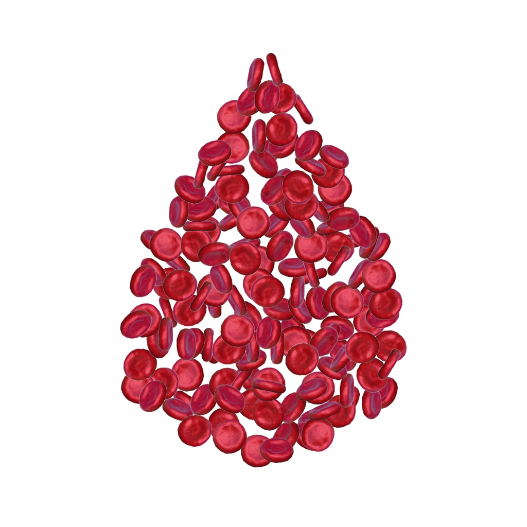 ISTH 2026 - Paris, France - Siemens Healthineers