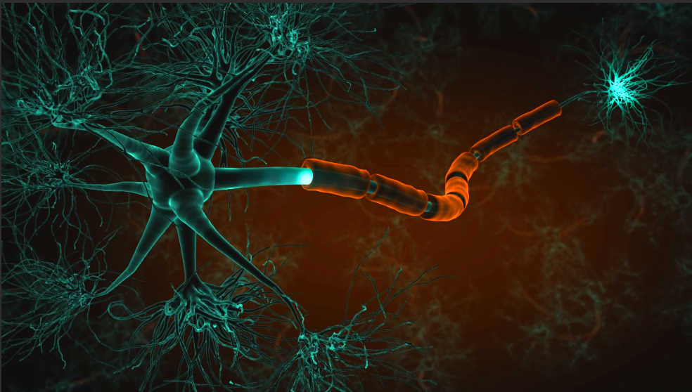 Innovation in Neurology Patient Management: Blood-based Biomarkers and ...