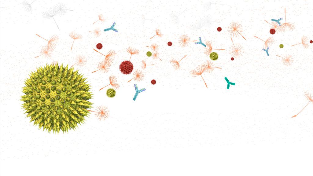Comparability between singleplex allergy diagnostic platforms