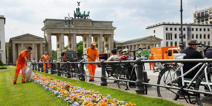 Jobs mit Berufserfahrung: Karriere bei der BSR | BSR