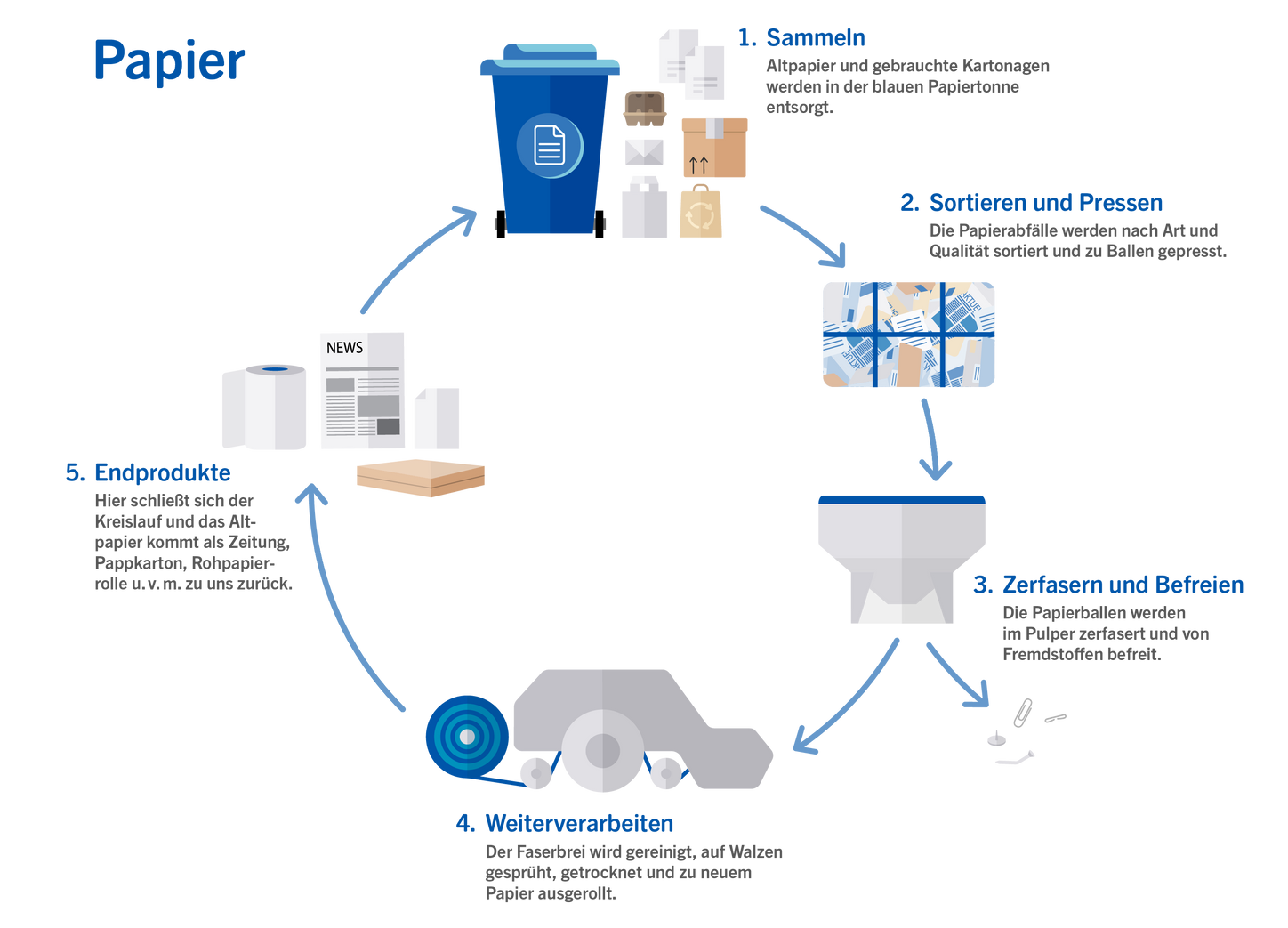 Altpapier richtig entsorgen | BSR