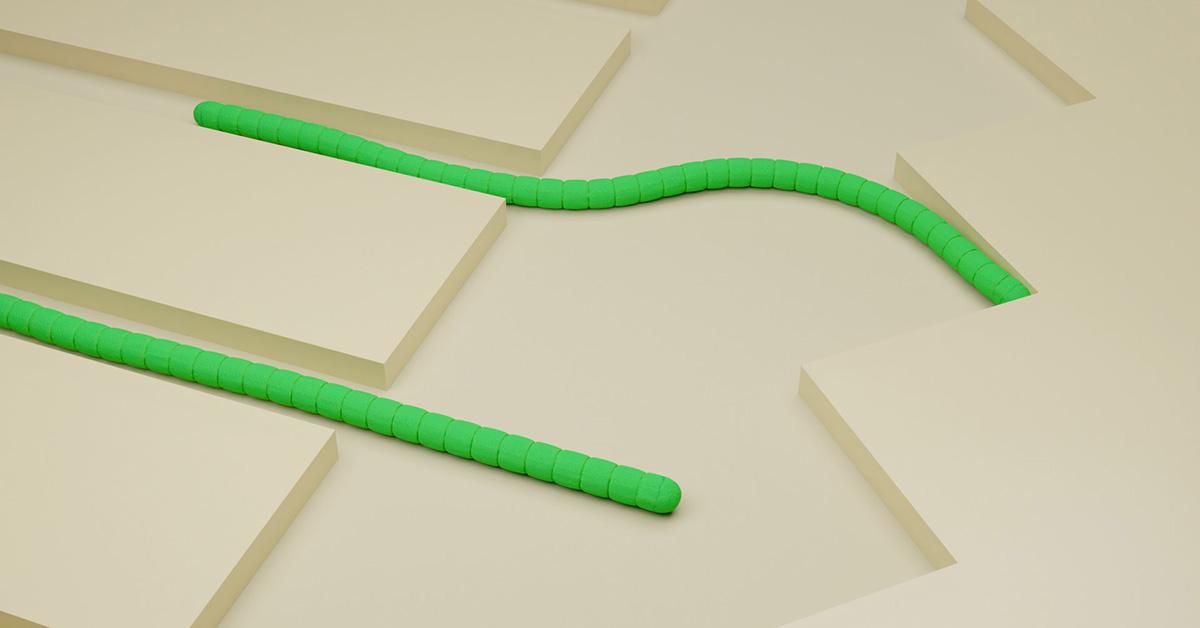 The bending and breaking of bacteria