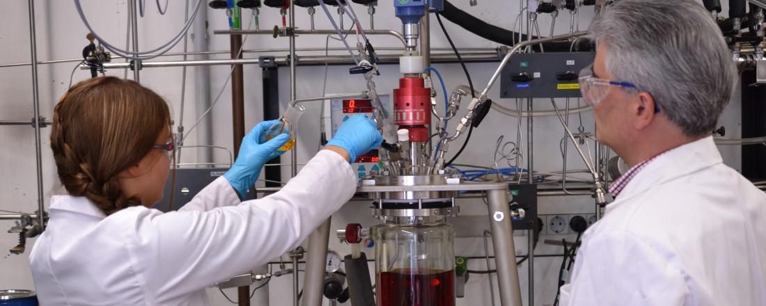 Polymer Science, Master of Science (M.Sc.)