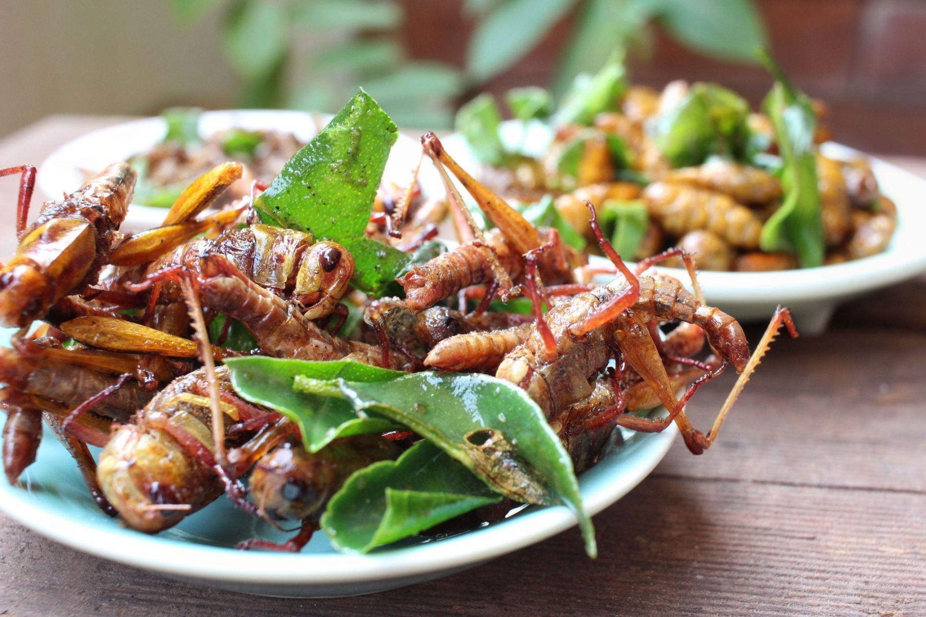 Prejudices prevent people from eating insects and cultivated meat