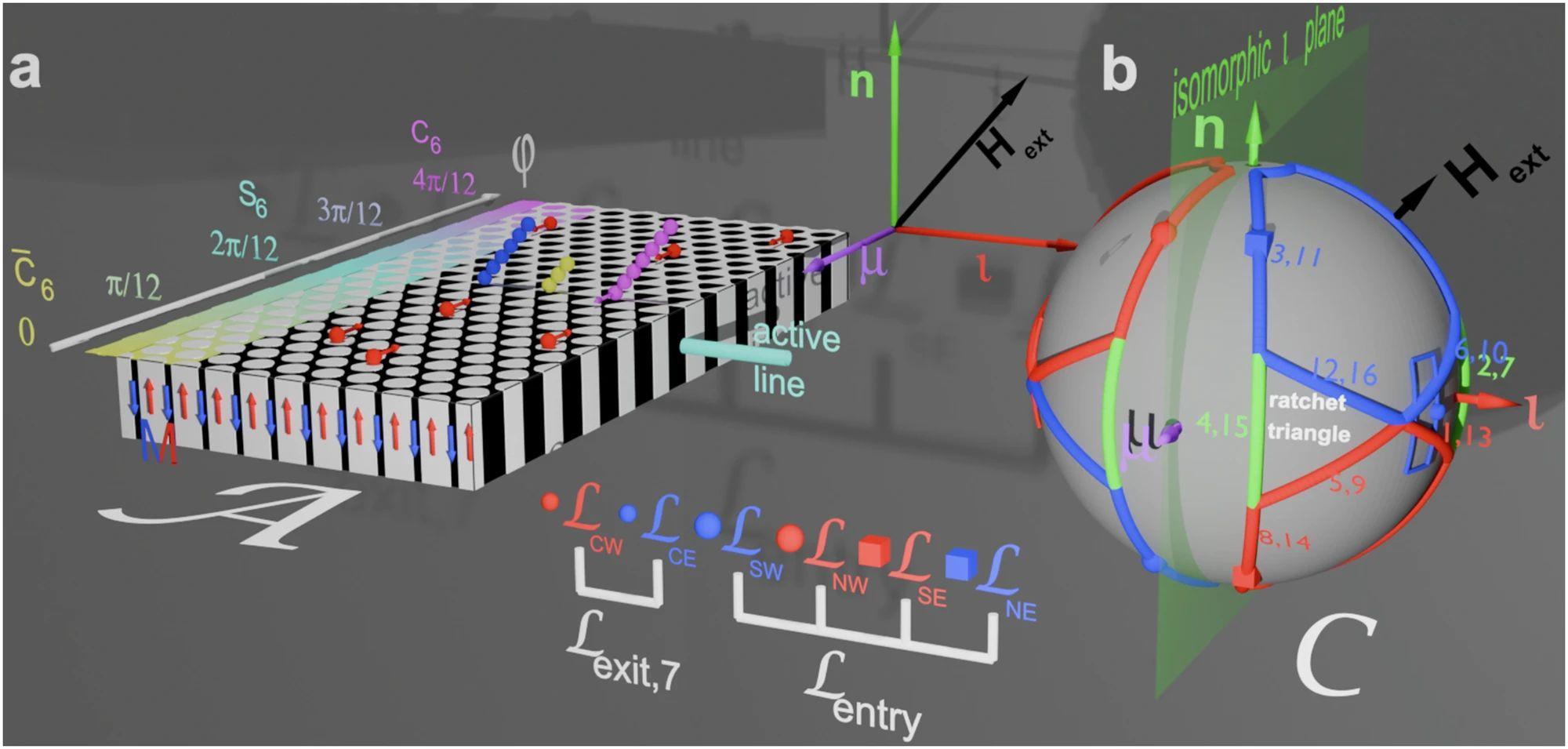 Growth control of microscopic bipeds with magnetic loops