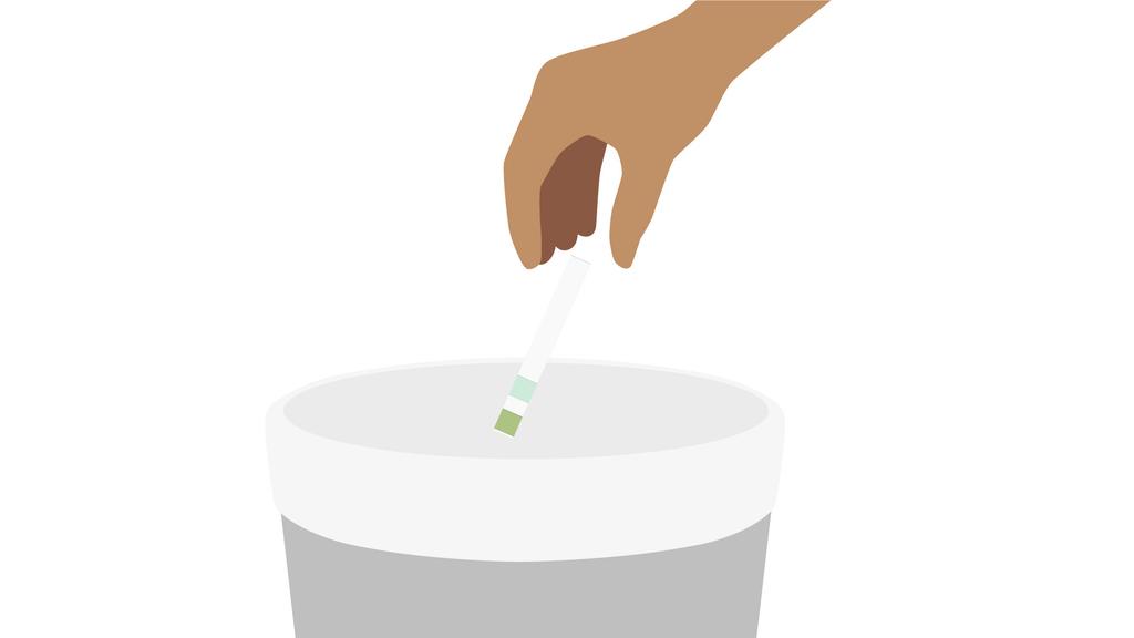 Clinistix At Home Kidney Tests | Siemens Healthineers