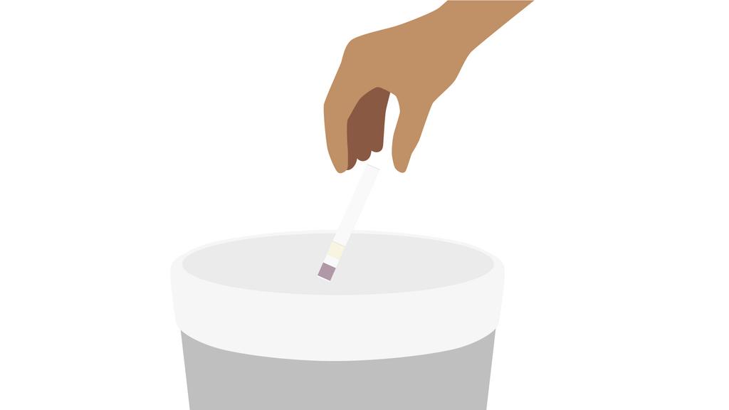 Clinistix At Home Uti Test Strips | Siemens Healthineers