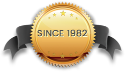 Your site is loading ...