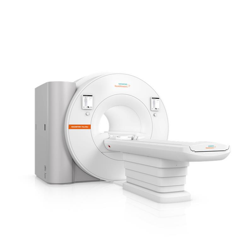 MAGNETOM Free.Max