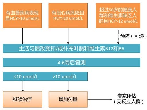 同型半胱氨酸 (HCY)-西门子医疗系统有限公司