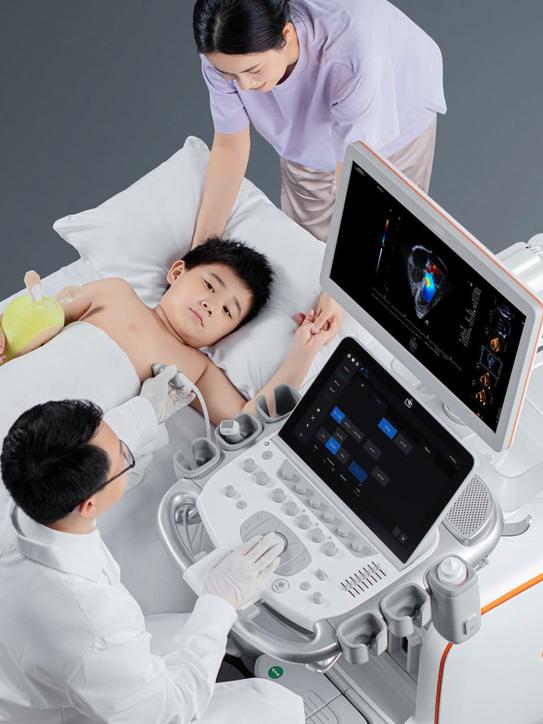 ACUSON Sequoia Silver 超声诊断系统 - 西门子医疗系统有限公司