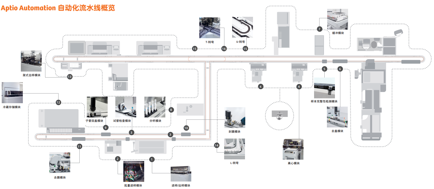 Aptio 自动化解决方案-西门子医疗系统有限公司